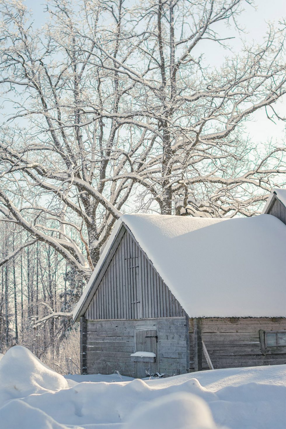 What is the Best Roofing Material for Cold and Snowy Weather? - The ...